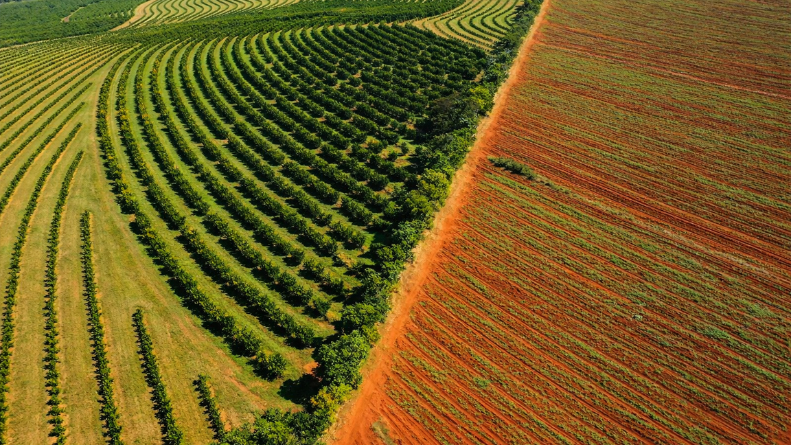 Un paisaje que parece una obra de arte natural