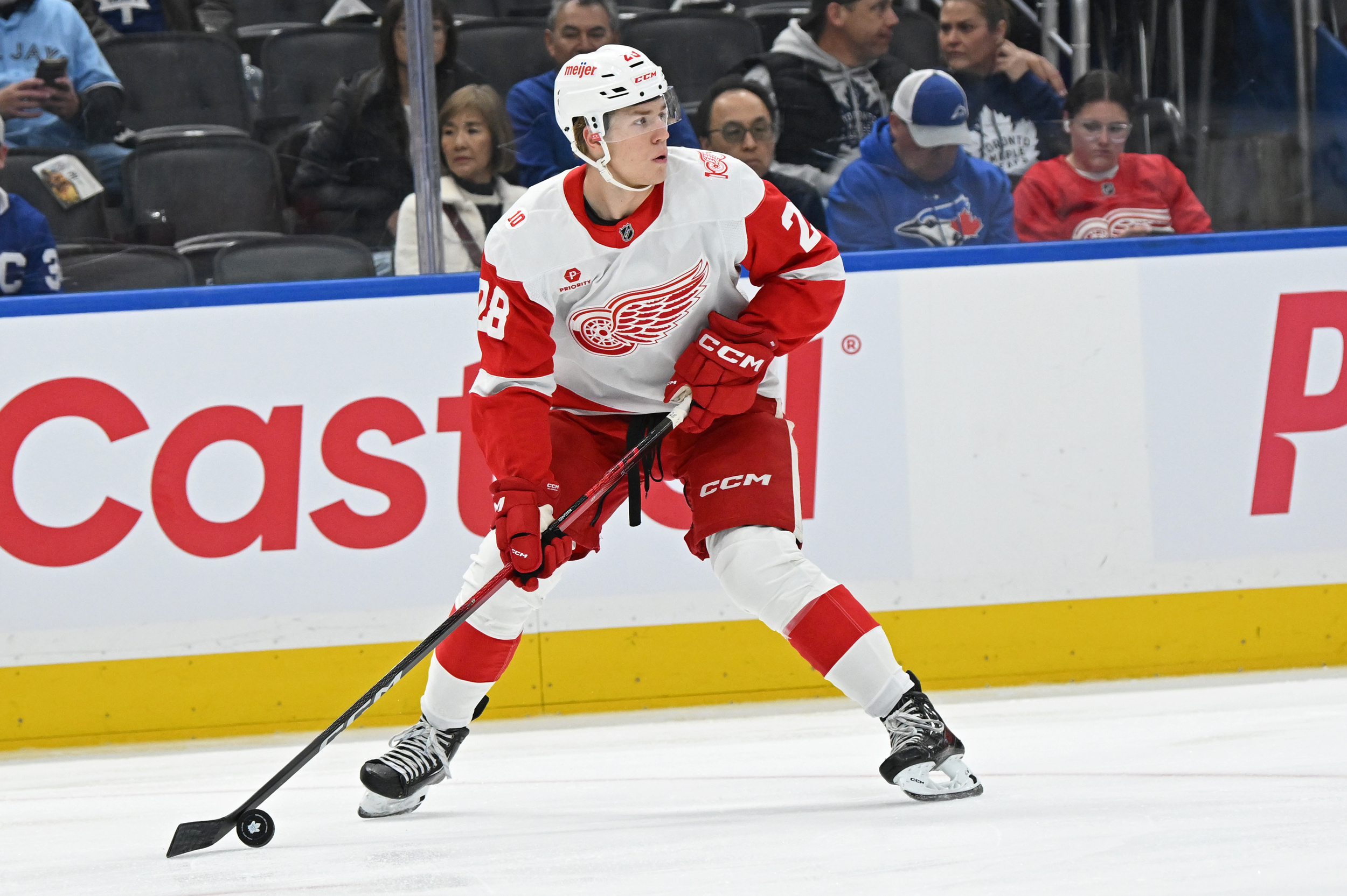 Red Wings recall Michael Brandsegg-Nygard