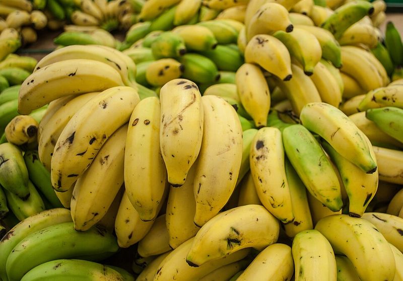 15 strange facts that sound fake but are actually true