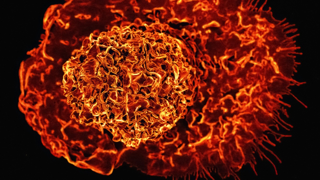 Single-cell breakthrough decodes transcriptome, epigenome & 3D genome ...