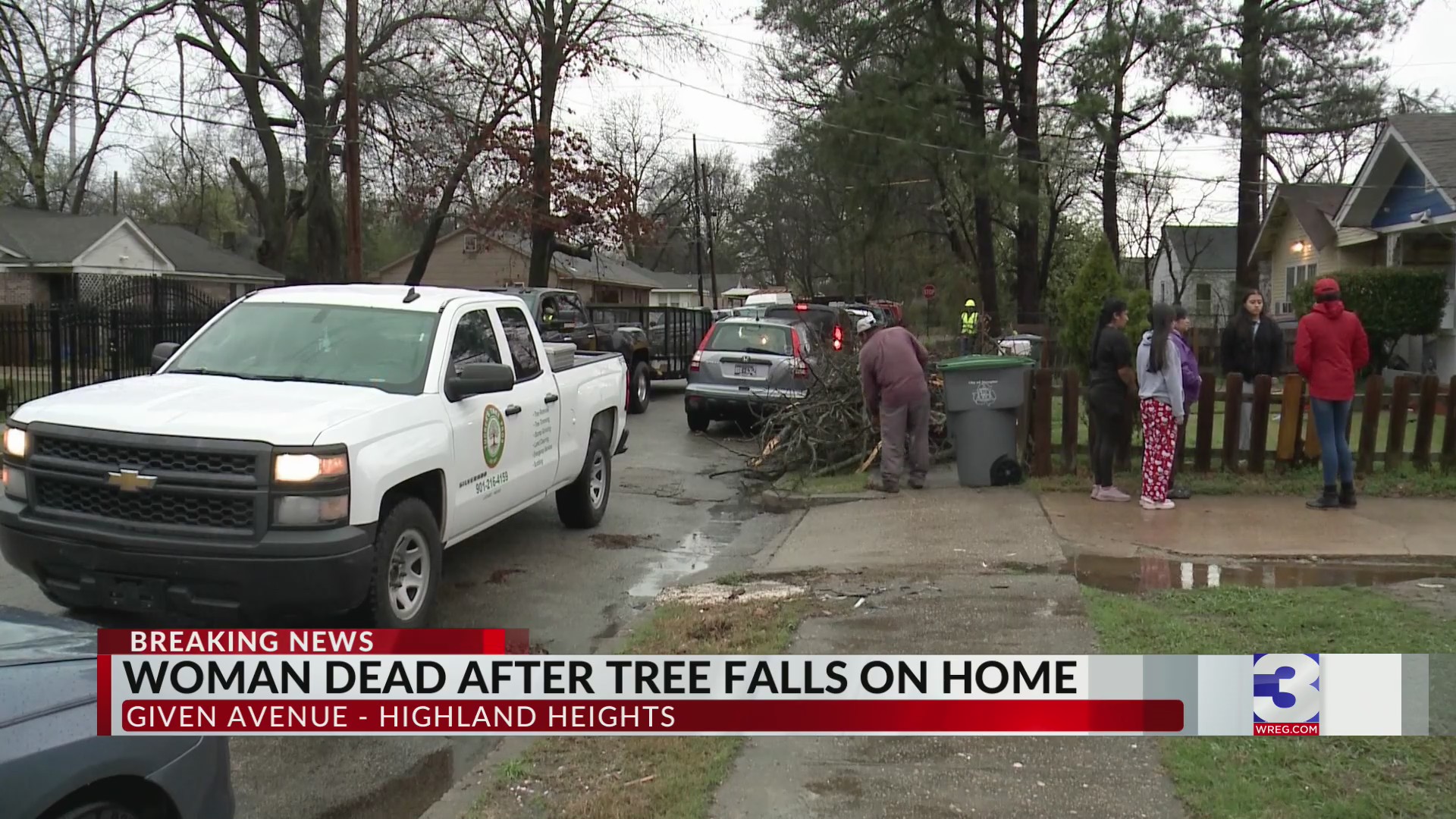 Tree falls, kills woman in Highland Heights, family says