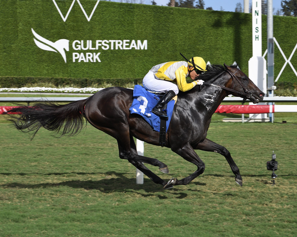 Litigation powers clear in Gulfstream Park's Silks Run
