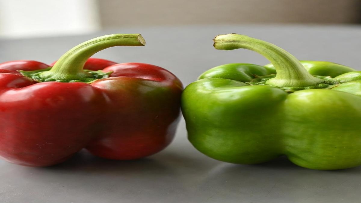 Red vs. green bell peppers: Which one is actually healthier for your ...