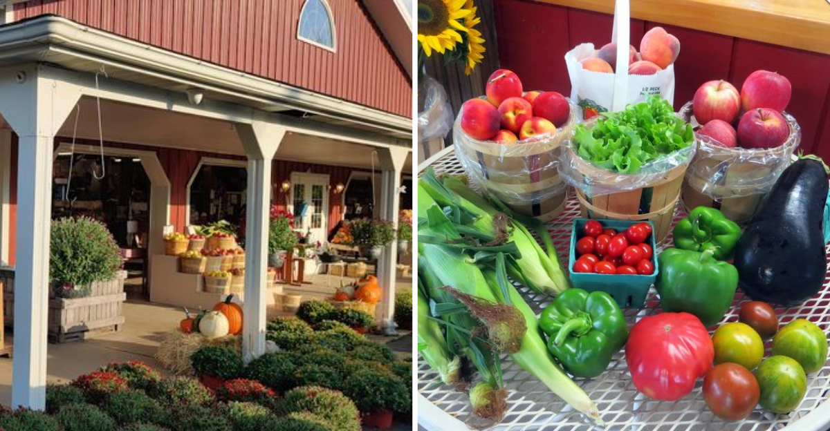 Find a true taste of New Jersey history at a farm that’s thrived for ...