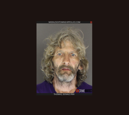 Cumberland County man arrested after allegedly mooning police