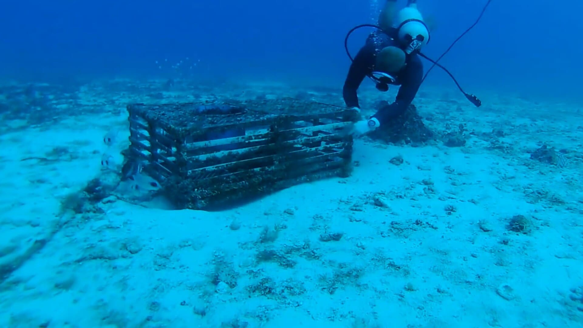 Puerto Rico fishermen remove ghost traps after Hurricane Maria
