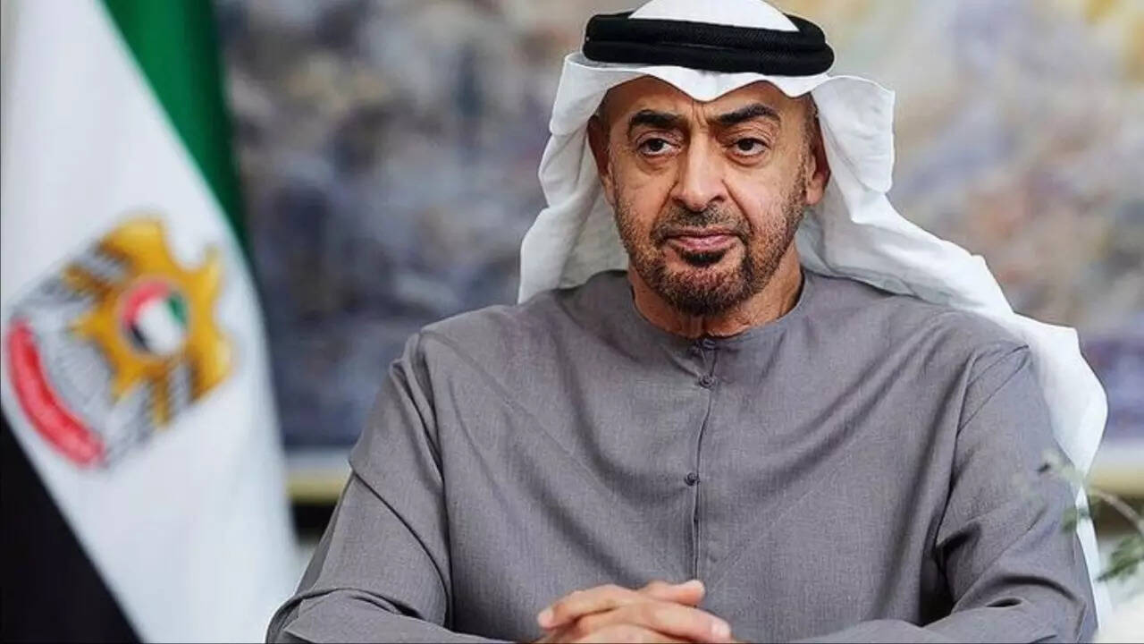 Forgive us: UAE President Mohamed bin Zayed Al Nahyan sends emotional ...