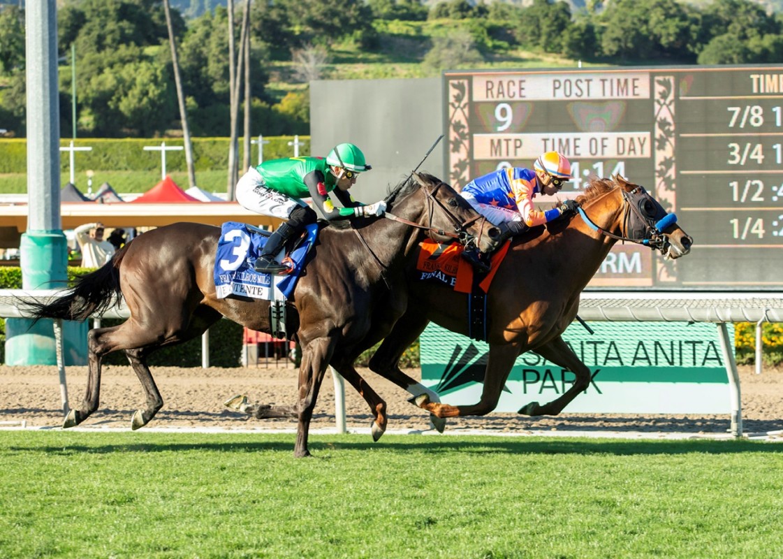 Final boss pulls Kilroe Mile upset in first start off layoff