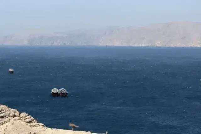 OMI denuncia ataques a buques civiles en el estrecho de Ormuz