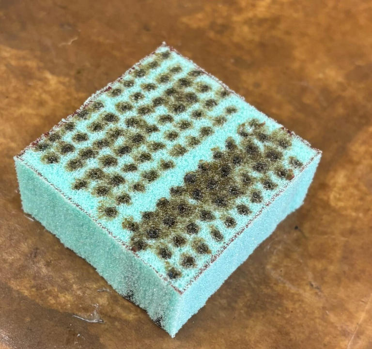 Hybrid 'super foam' uses 3D-printed struts to absorb up to 10 times ...