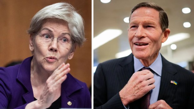 Democratic senators call out lack of national security review for ...