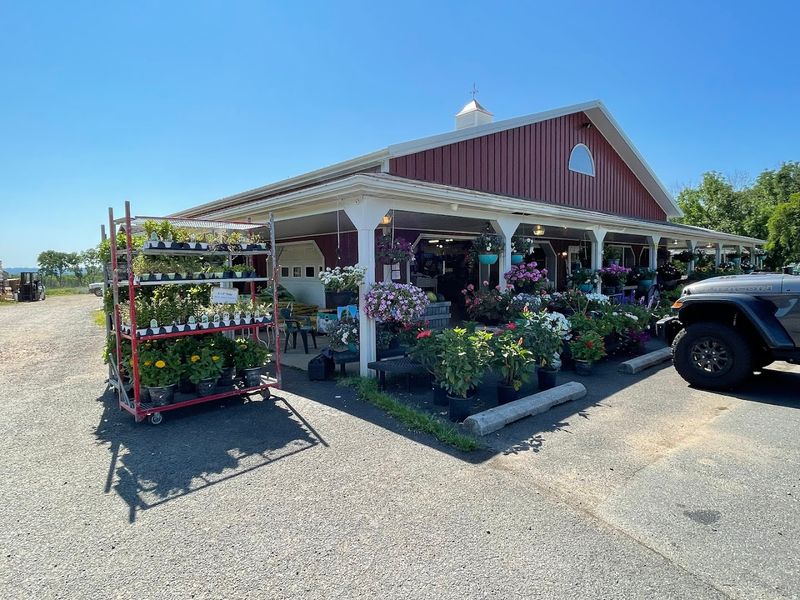 Find a true taste of New Jersey history at a farm that’s thrived for ...