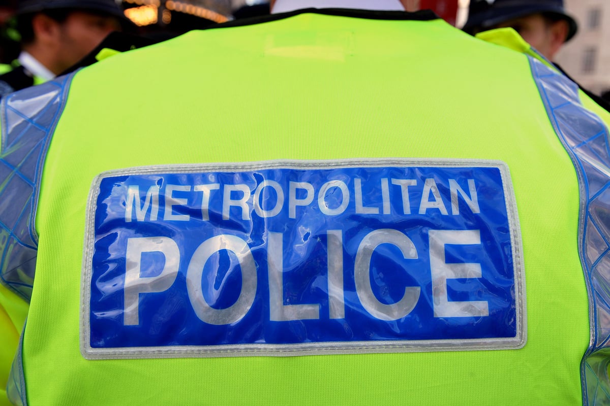 Iranian national in custody after stabbing at central London protest