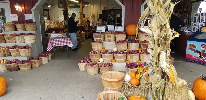 Find a true taste of New Jersey history at a farm that’s thrived for ...
