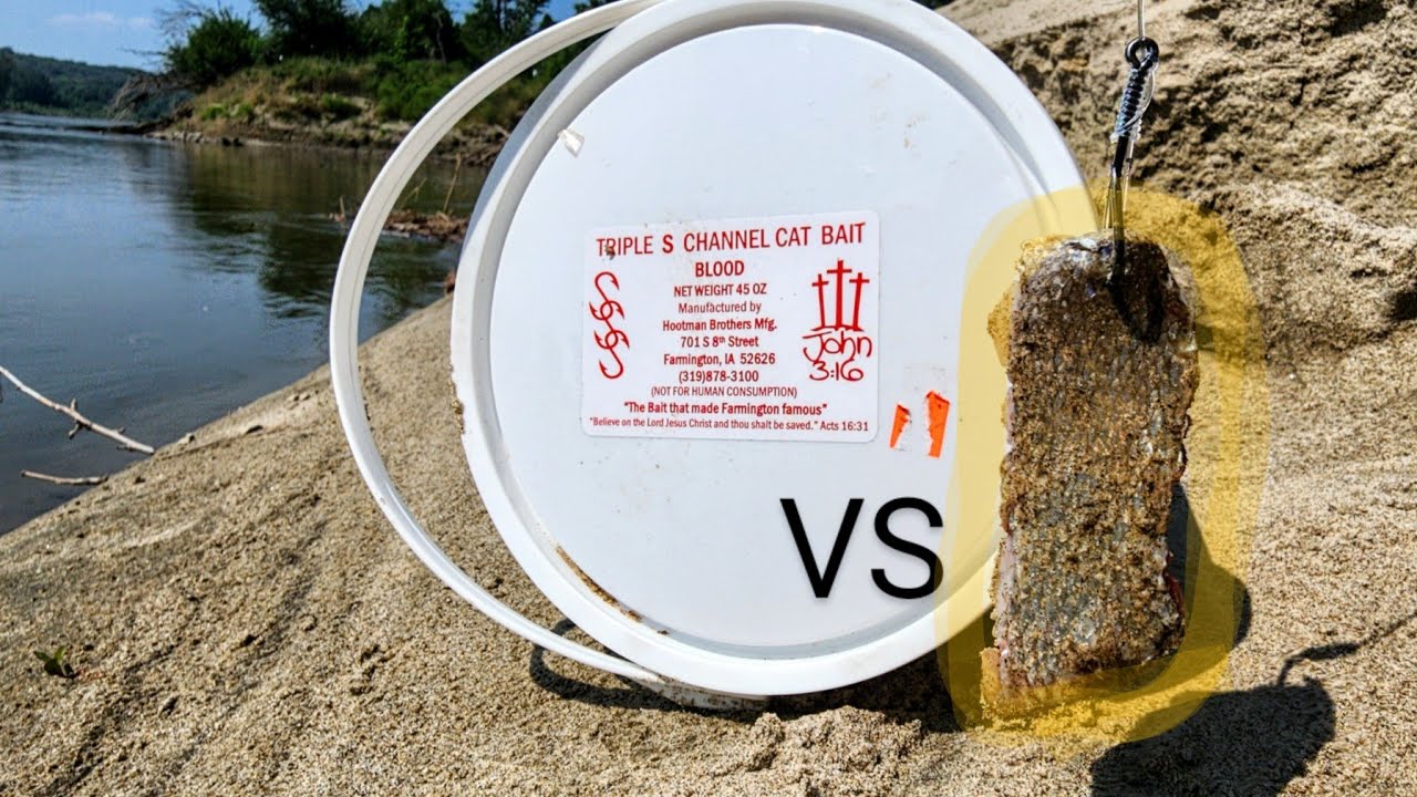 The best summertime catfish bait