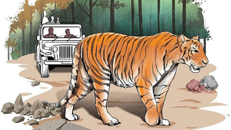 Mitigating wildlife conflict & environmental degradation in Karnataka
