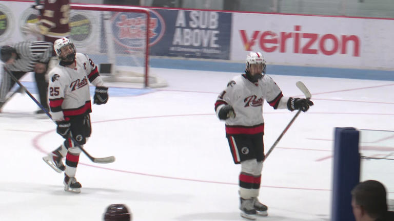 SPASH hockey drops state title game against Madison Edgewood