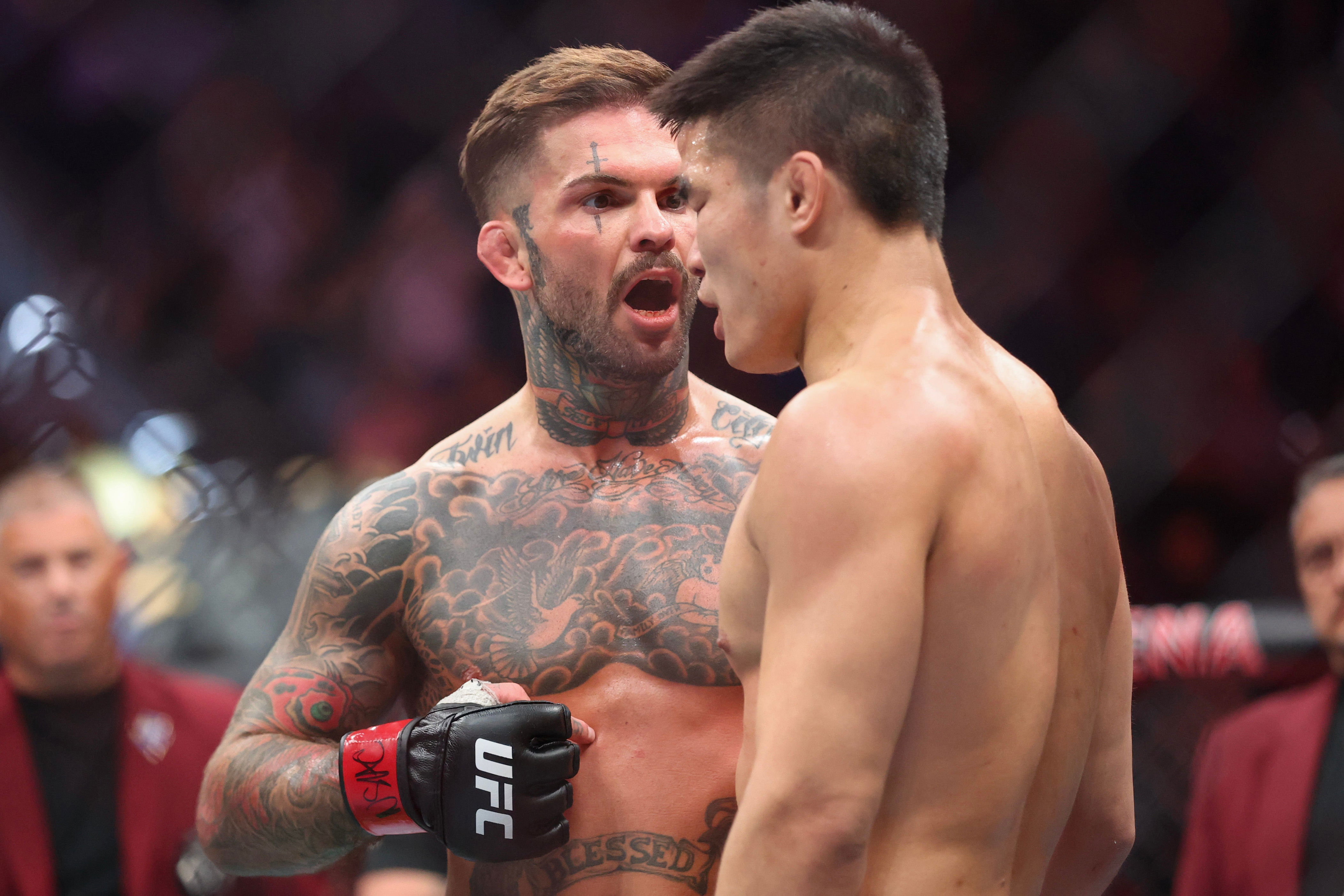 Garbrandt vomits in Octagon after suffering two low blows at UFC 326