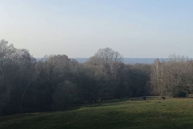 Essex's perfect springtime walk with incredible views that ends at ...