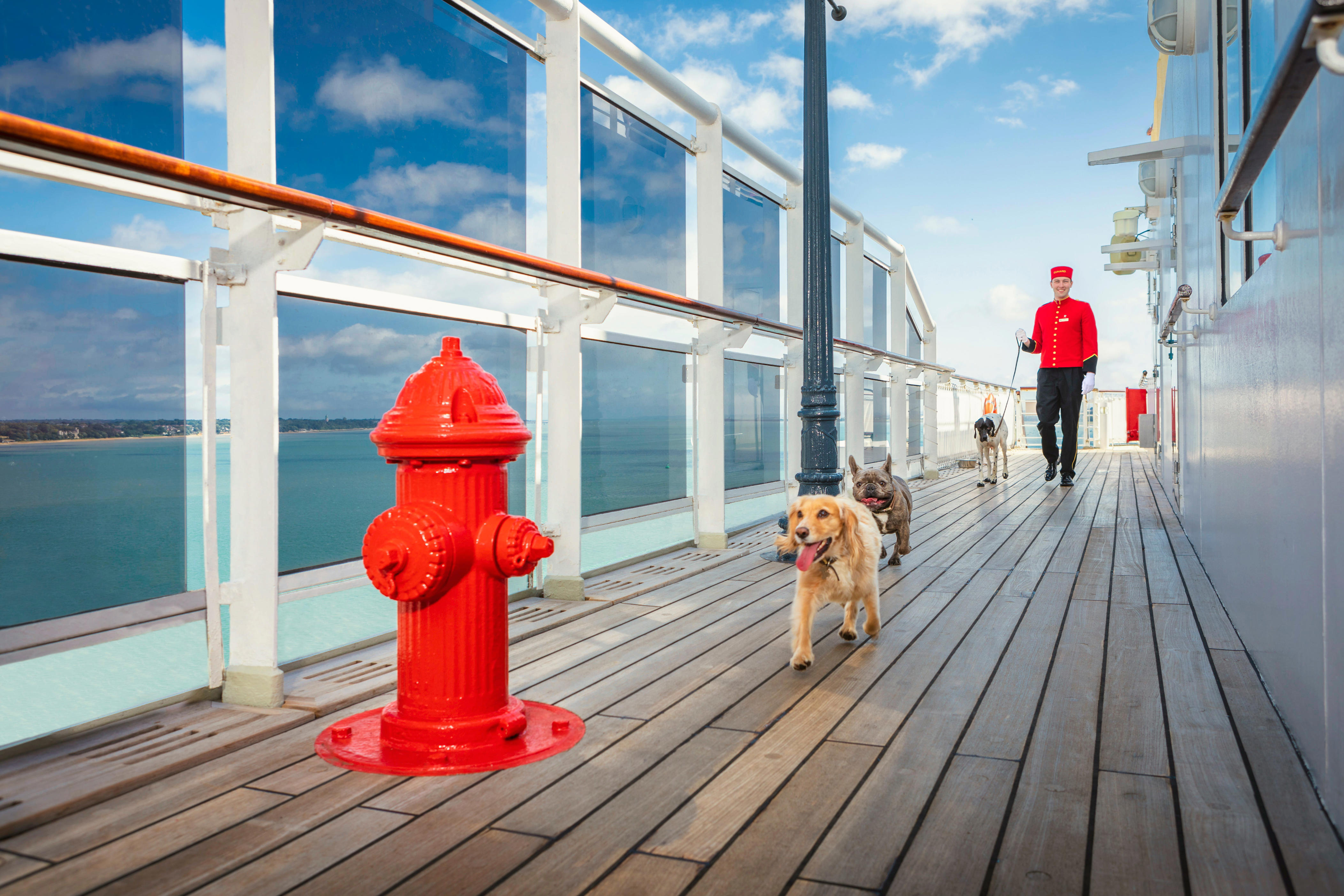You can move overseas with your dog without having to take a flight