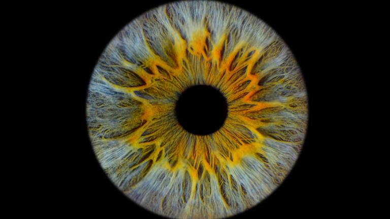 Scientists were surprised by what the human eye does after death
