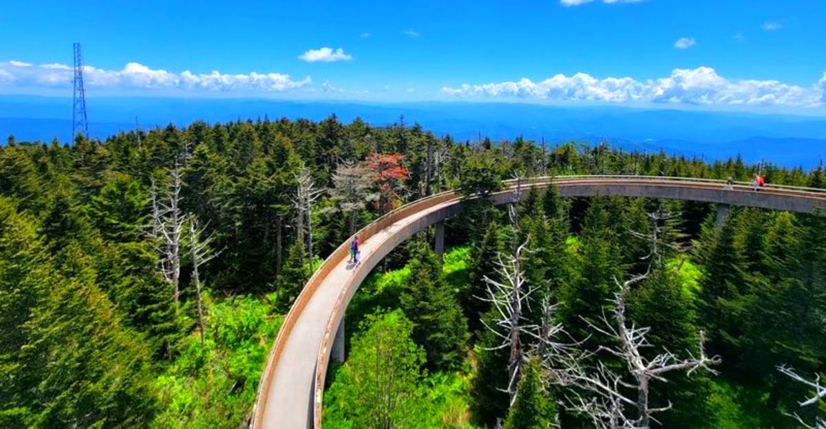 12 mountain views that don’t require a long hike