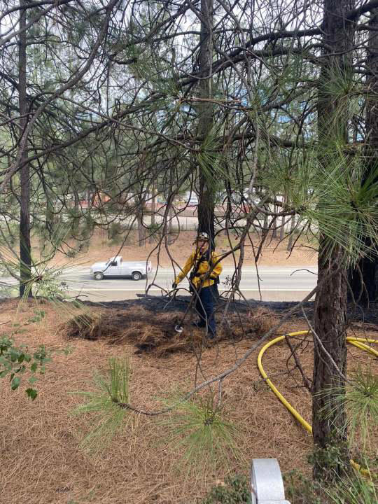CAL FIRE responds to vegetation fire near Colfax