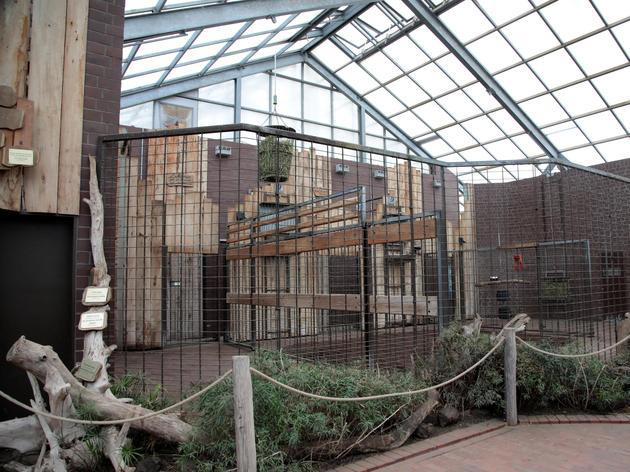 Zoo Dortmund hat neue Tierart – sie ist vom Aussterben bedroht
