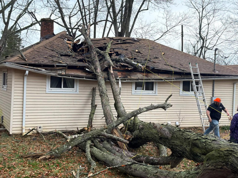 Veteran displaced after tree crashed into home during severe storms