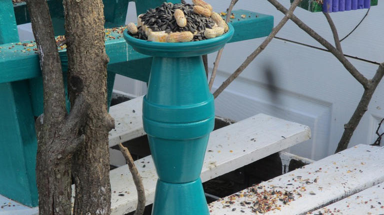 Old plant pots: 8 ideas to create clever DIY bird feeders for your garden!