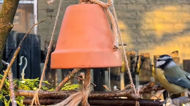 Old plant pots: 8 ideas to create clever DIY bird feeders for your garden!