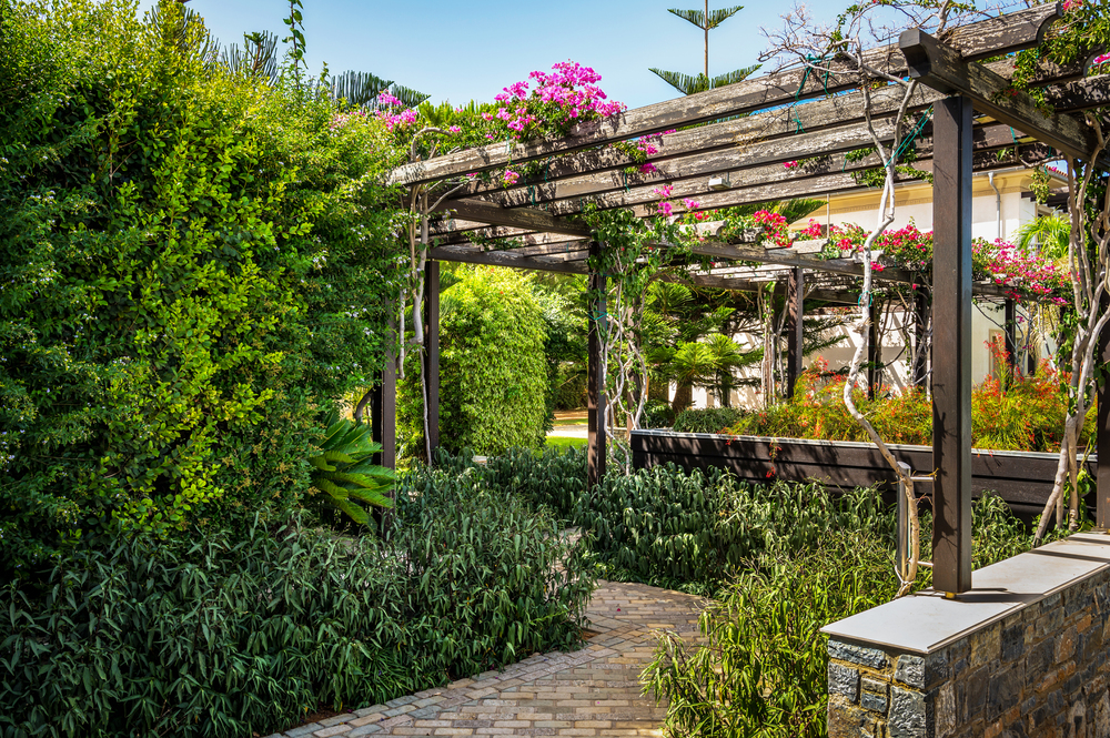 Backyard privacy ideas for a secluded garden oasis