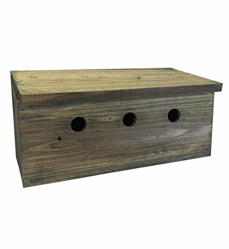 Sparrows will love your garden if you use this type of bird box ...