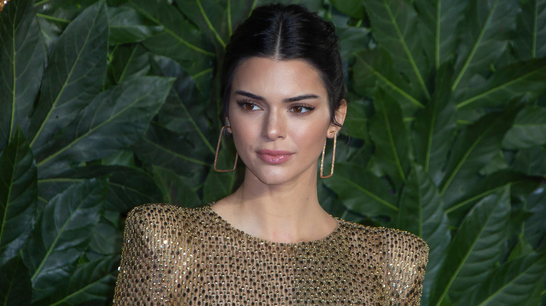 Kendall Jenner's walk-in closet is clothing storage done right