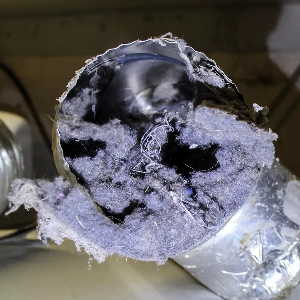 The dryer warning: Why cleaning the lint trap isn't saving your laundry ...