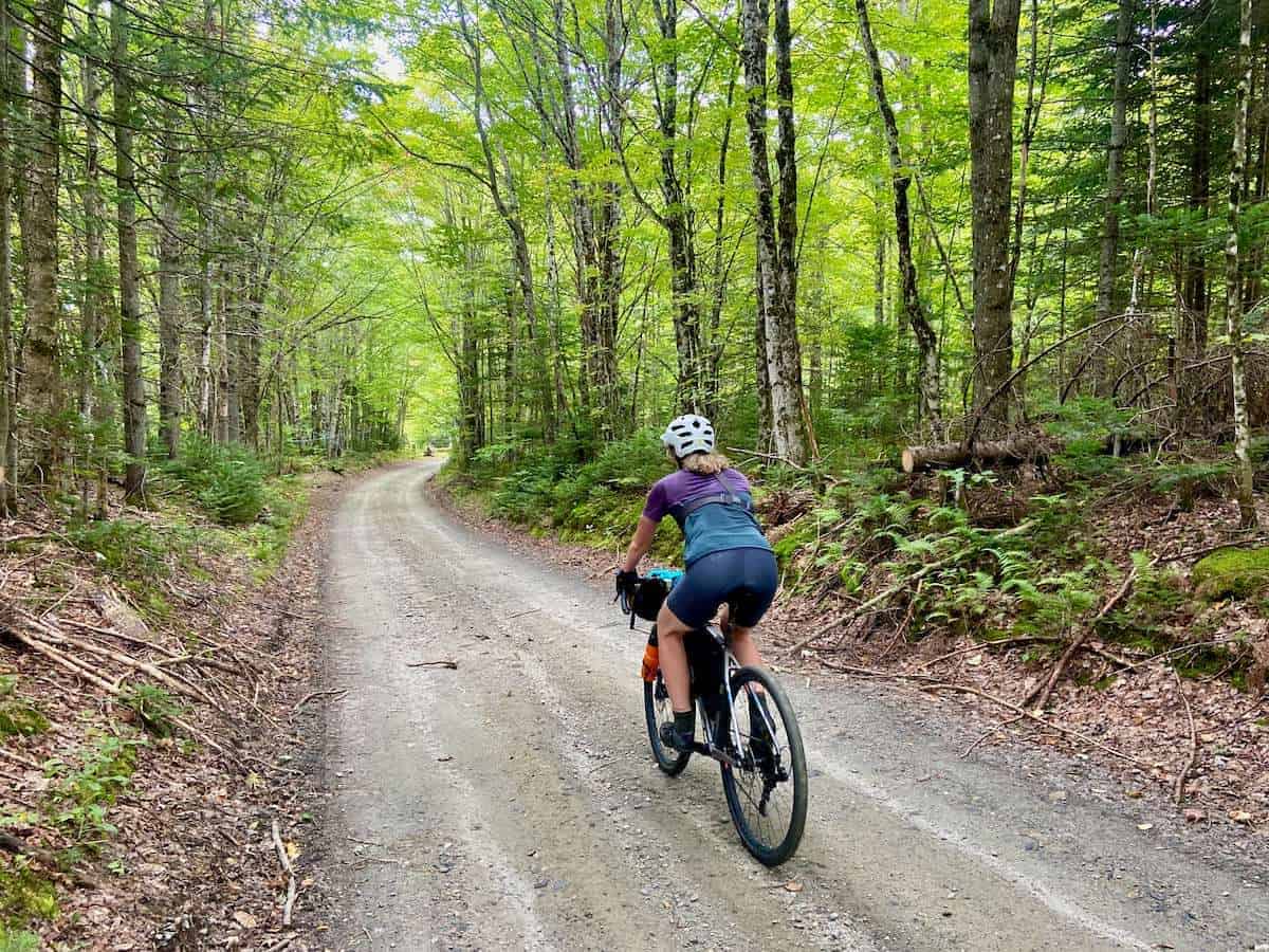 TWW picks: My 3 favorite women's padded bike shorts, liners, & chamois