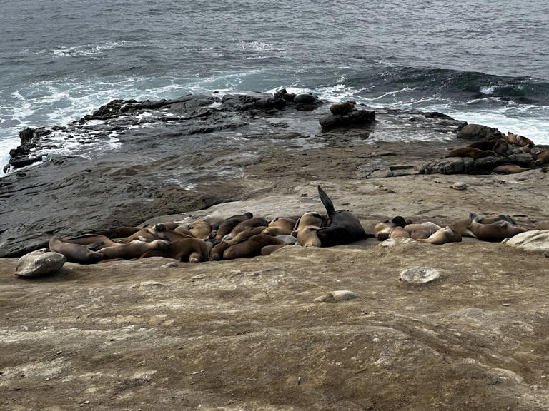 12 cool things to do in Southern California with kids—no theme parks ...