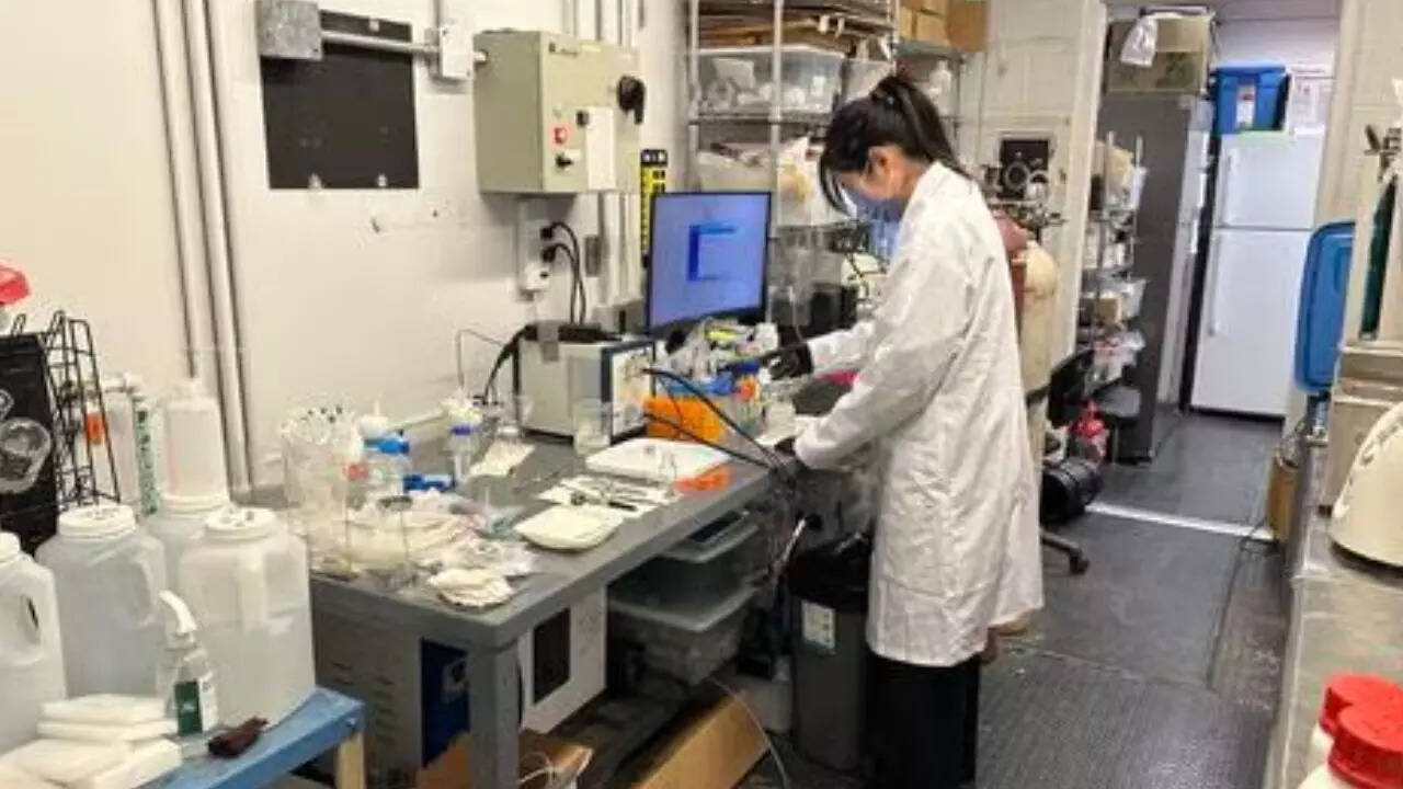Scientists turn plastic waste into vinegar using only sunlight at the ...