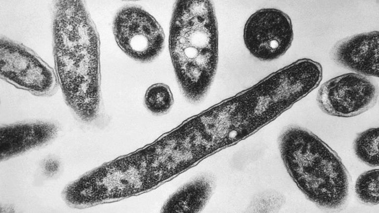Health agency investigating London Legionnaires' disease cluster