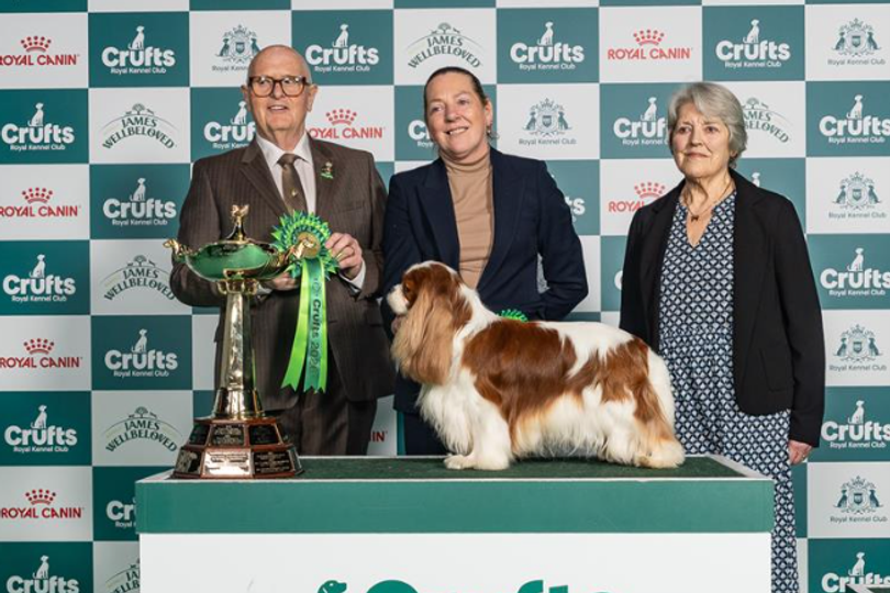 Crufts 2026 best in show winner announced and full list of finalists