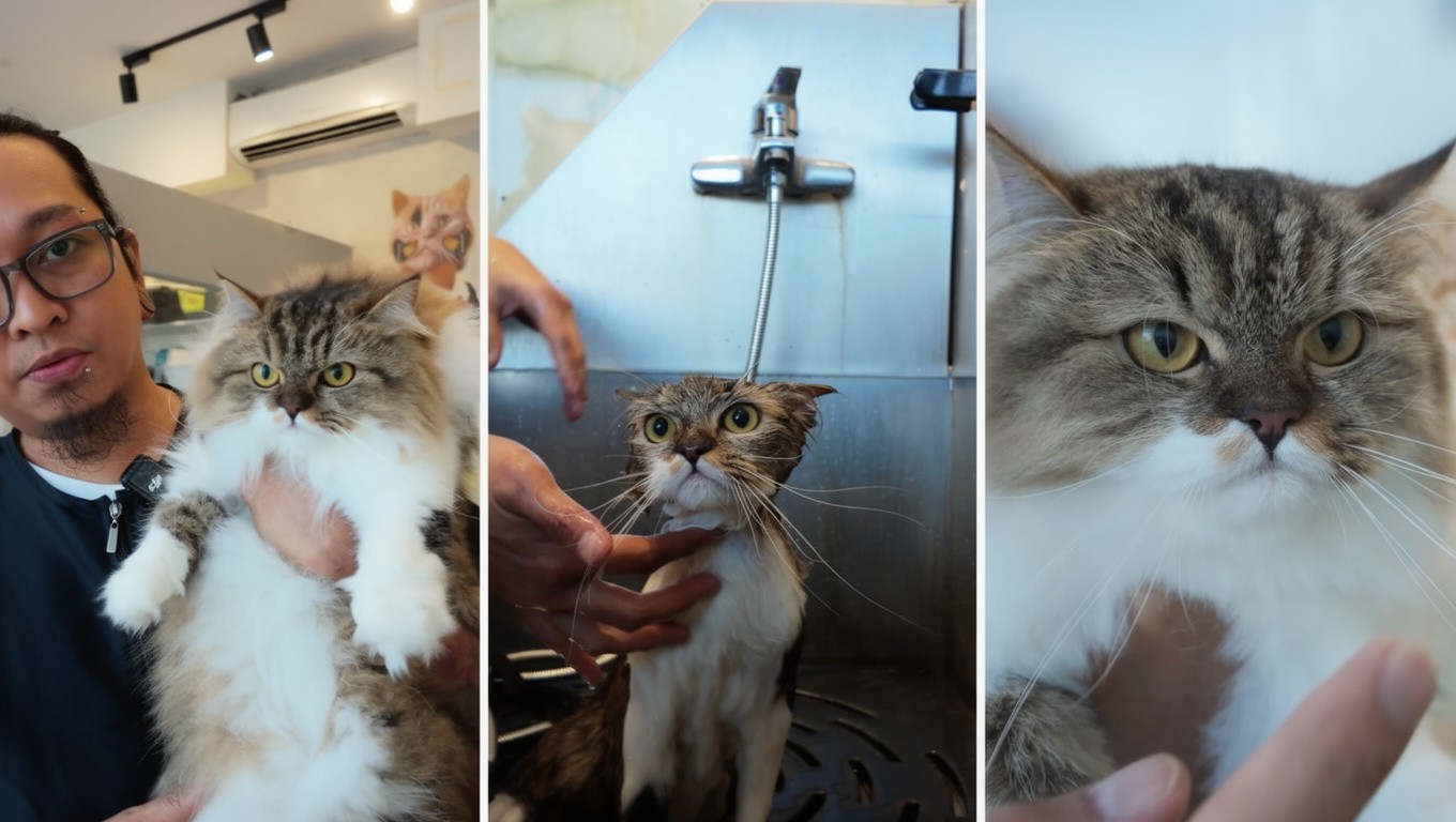 Leo’s grooming day mix-up