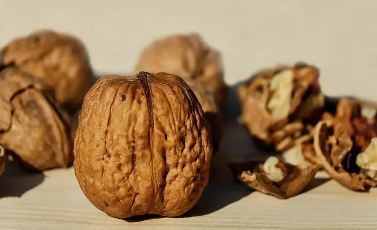 Top 10 healthiest nuts - ranked from best to worst