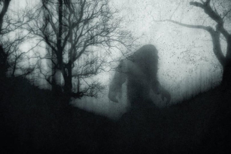 'I'm a bigfoot expert and here's what to do if you come face-to-face ...