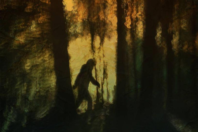 'I'm a bigfoot expert and here's what to do if you come face-to-face ...