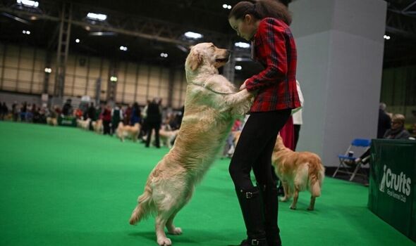 Crufts 2026: Best in show winner announced in finale