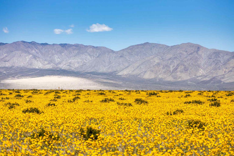 I’ve visited 30+ national parks, and this is my favorite to visit ...