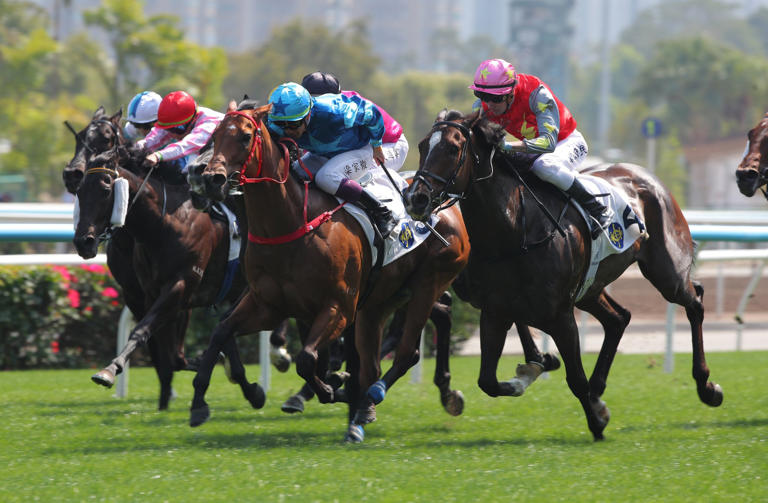 Fast Network stamps class at Sha Tin as James Orman and David Hall ...
