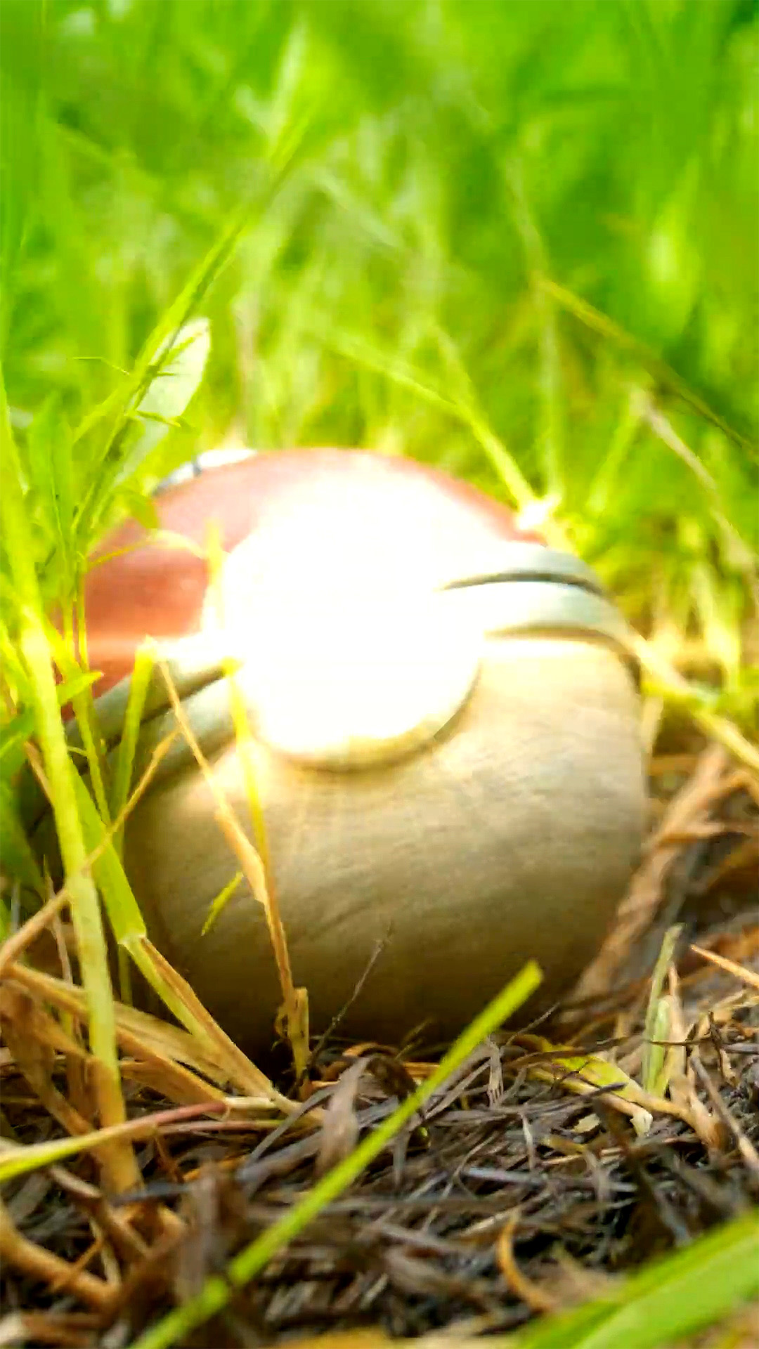 A Pokemon catch attempt in real life