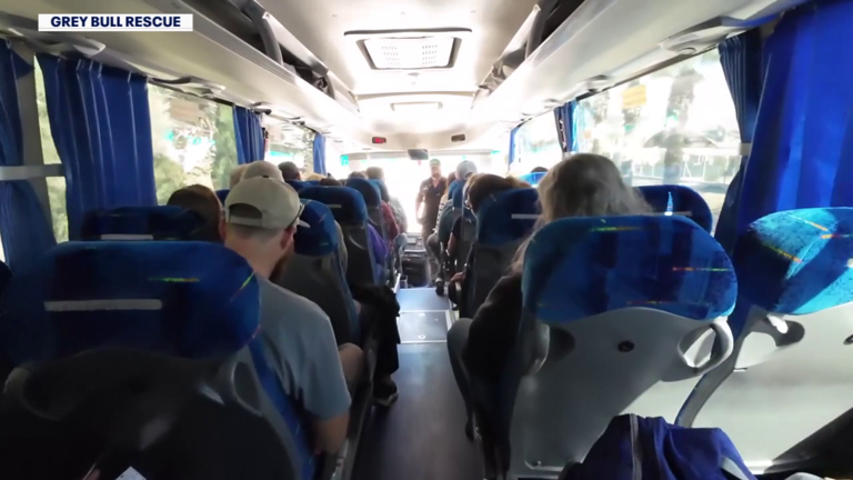 Tampa-based Grey Bull Rescue brings 300 Americans home from Middle East