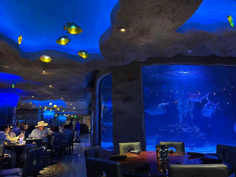Dine underwater at this ocean-themed restaurant in Texas with sharks ...